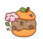 99+ Hình ảnh capybara chibi cute ngộ nghĩnh và độc đáo